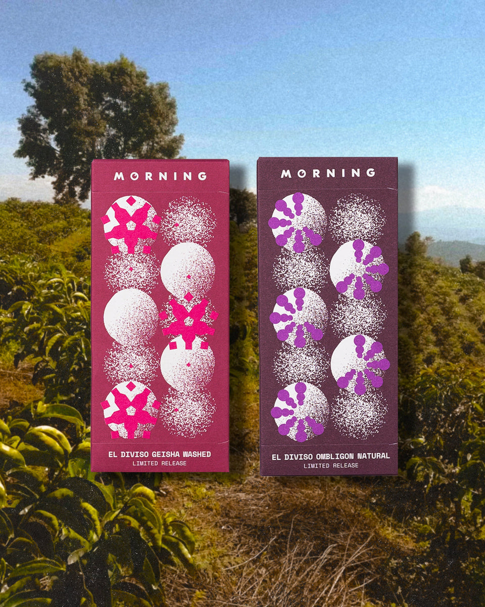 Limited Release El Diviso – Morning