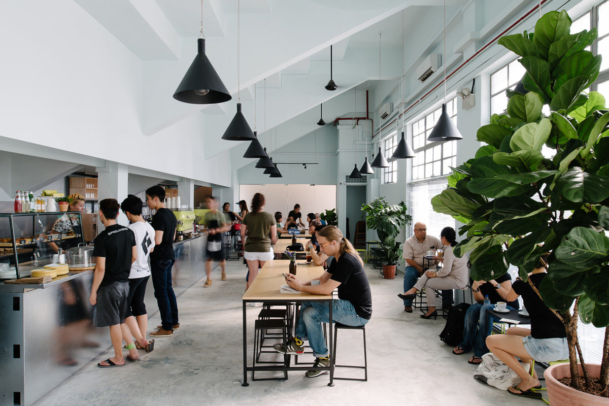 Brawn & Brains Coffee – Morning