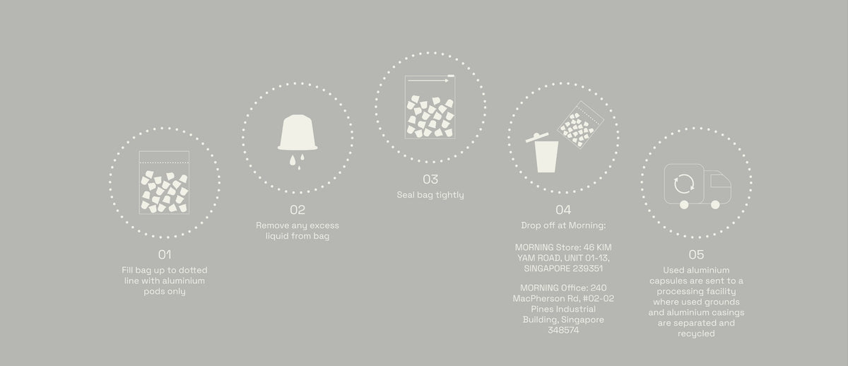 Recycling – Morning